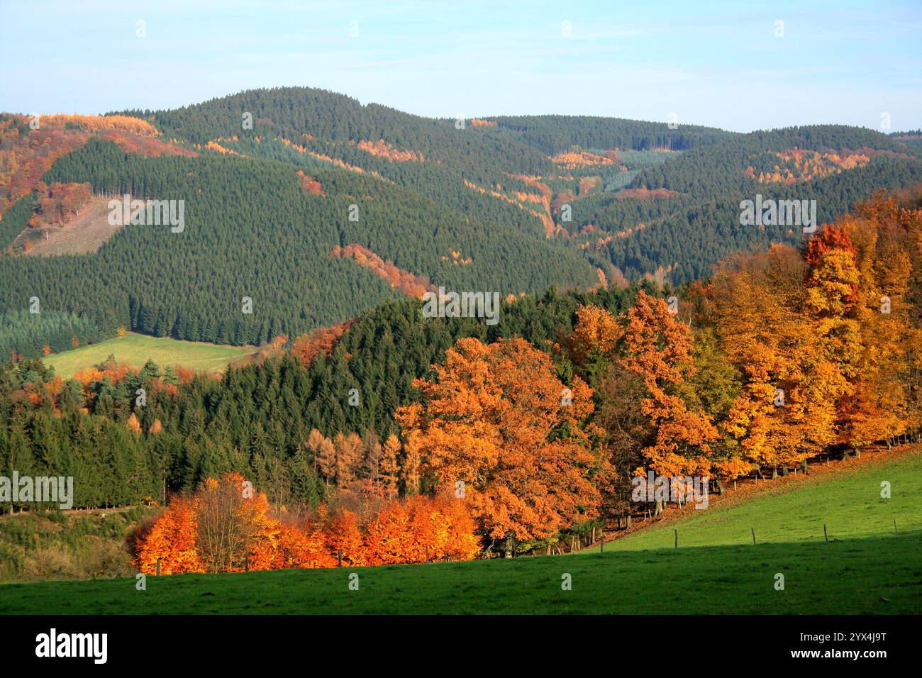 Cheerful hue hi-res stock photography and images - Alamy