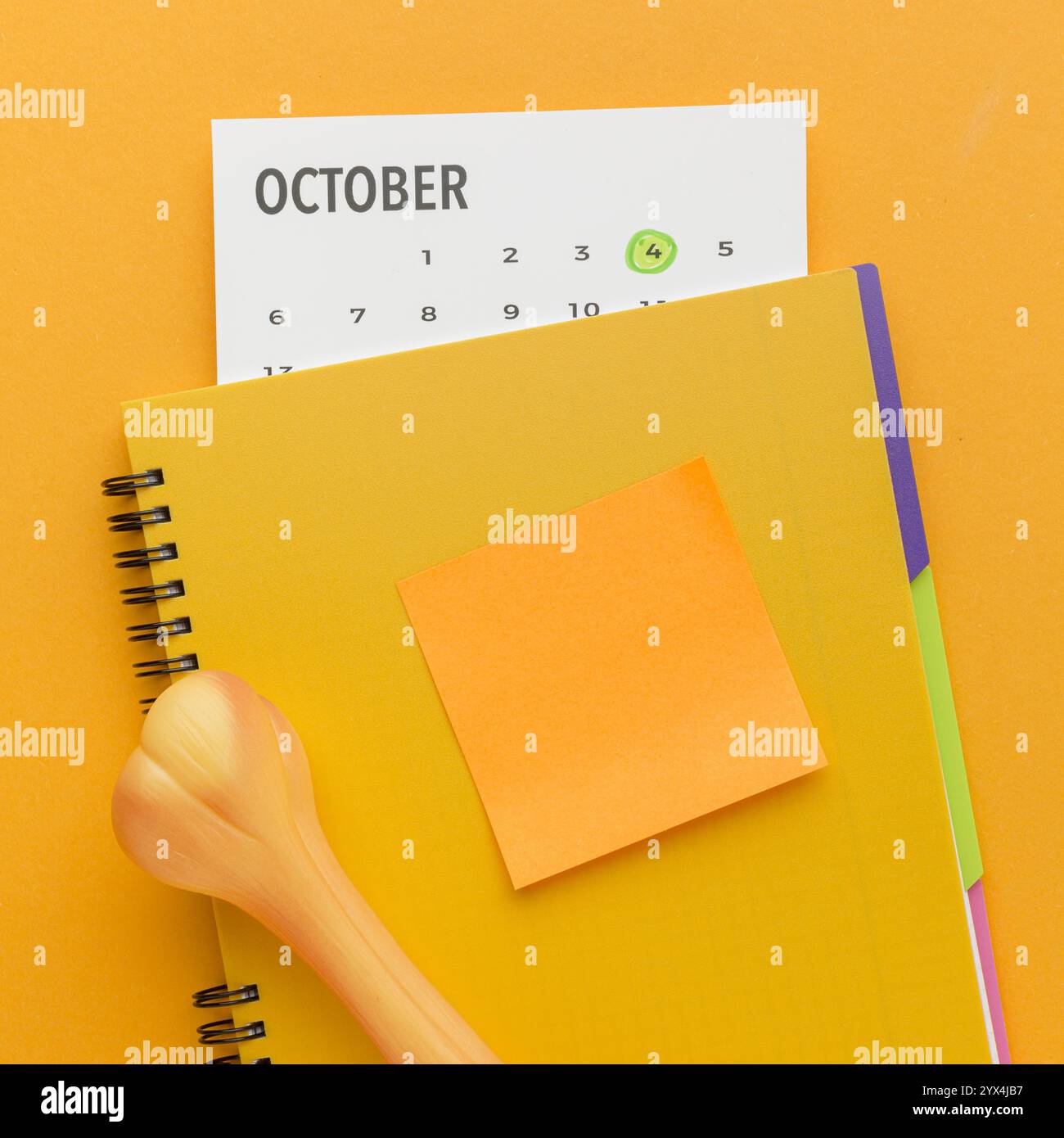 Top view notebook with bone calendar animal day Stock Photo - Alamy