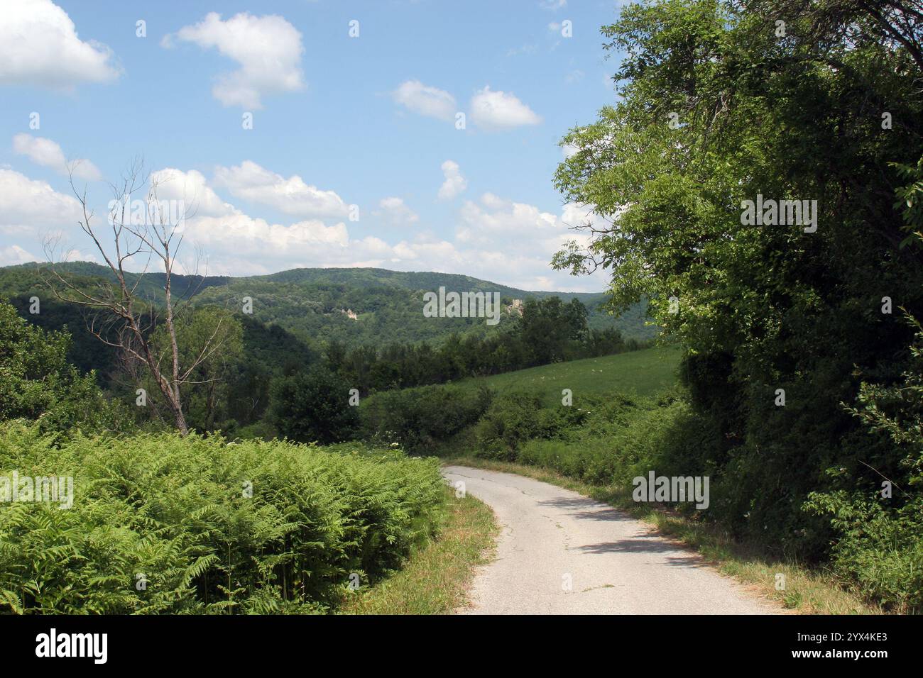 Zrin Fortress is a medieval fortress located on the slopes of Zrinska ...