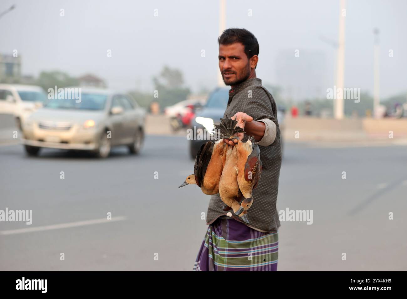 Dhaka, Bangladesh - December 13, 2024: Although the catching and ...