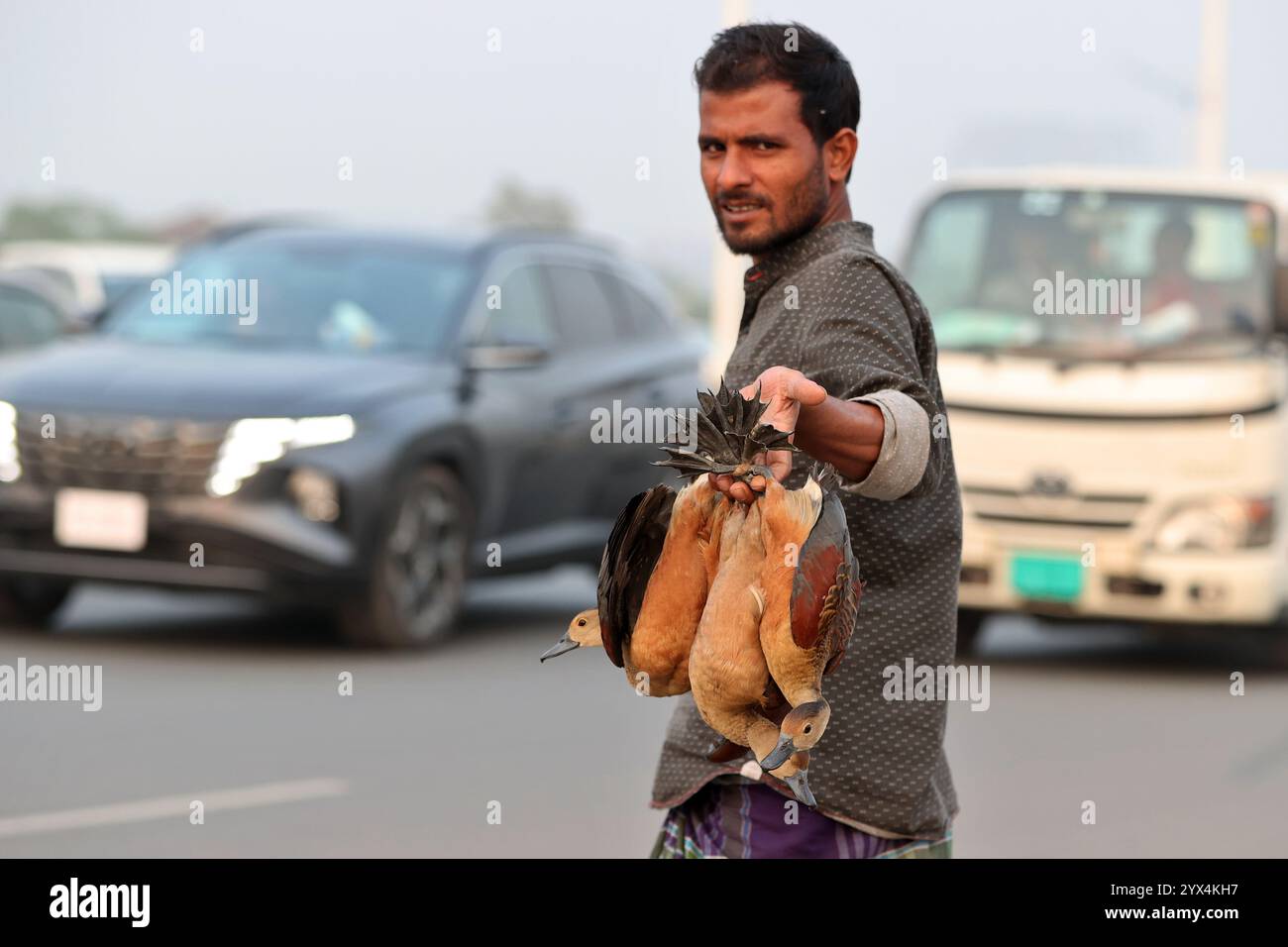 Dhaka, Bangladesh - December 13, 2024: Although the catching and ...