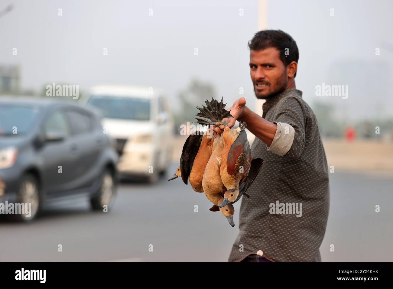 Dhaka, Bangladesh - December 13, 2024: Although the catching and ...