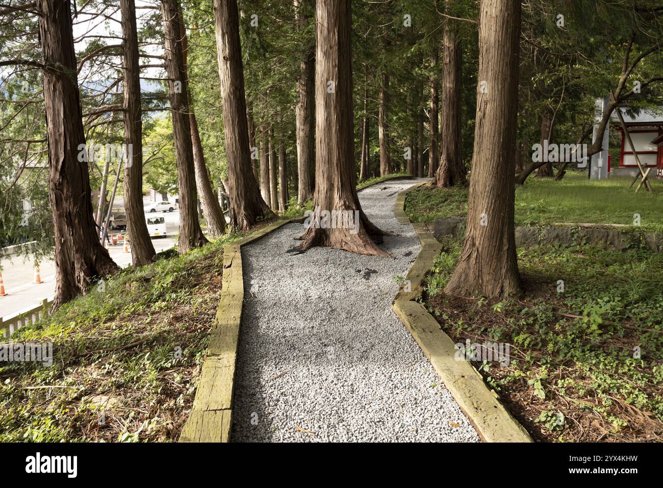 Gravel driveway with tree in the centre, Fujiomurosengen Shrine Hongu ...