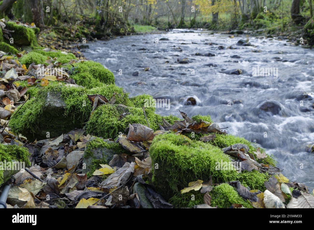 Copper coloured river hi-res stock photography and images - Alamy