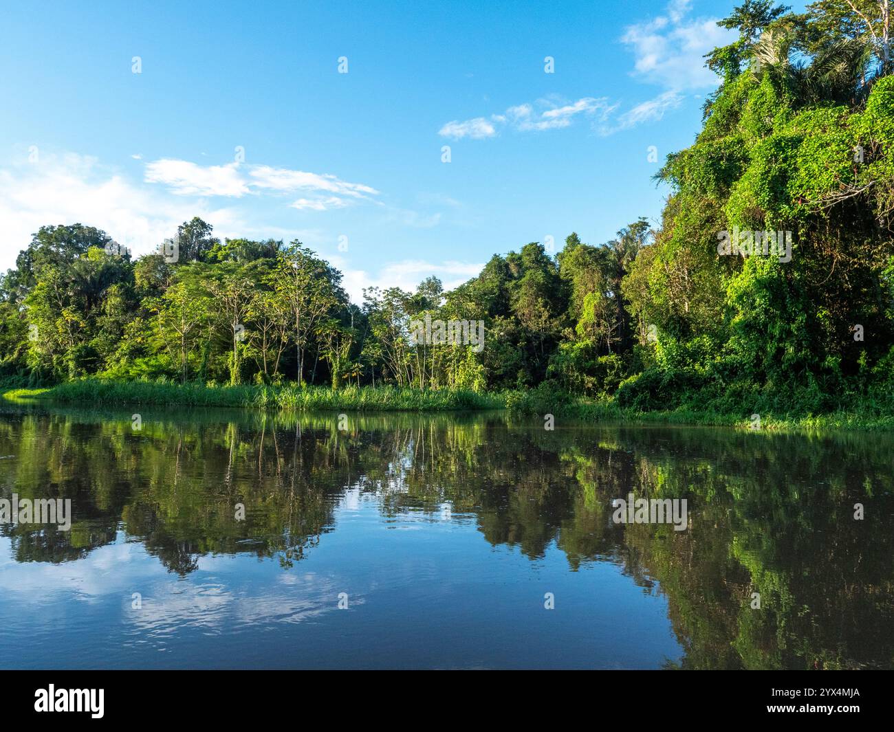 Amazon river landscape near the town of Tefè. Tefé is a small town west ...