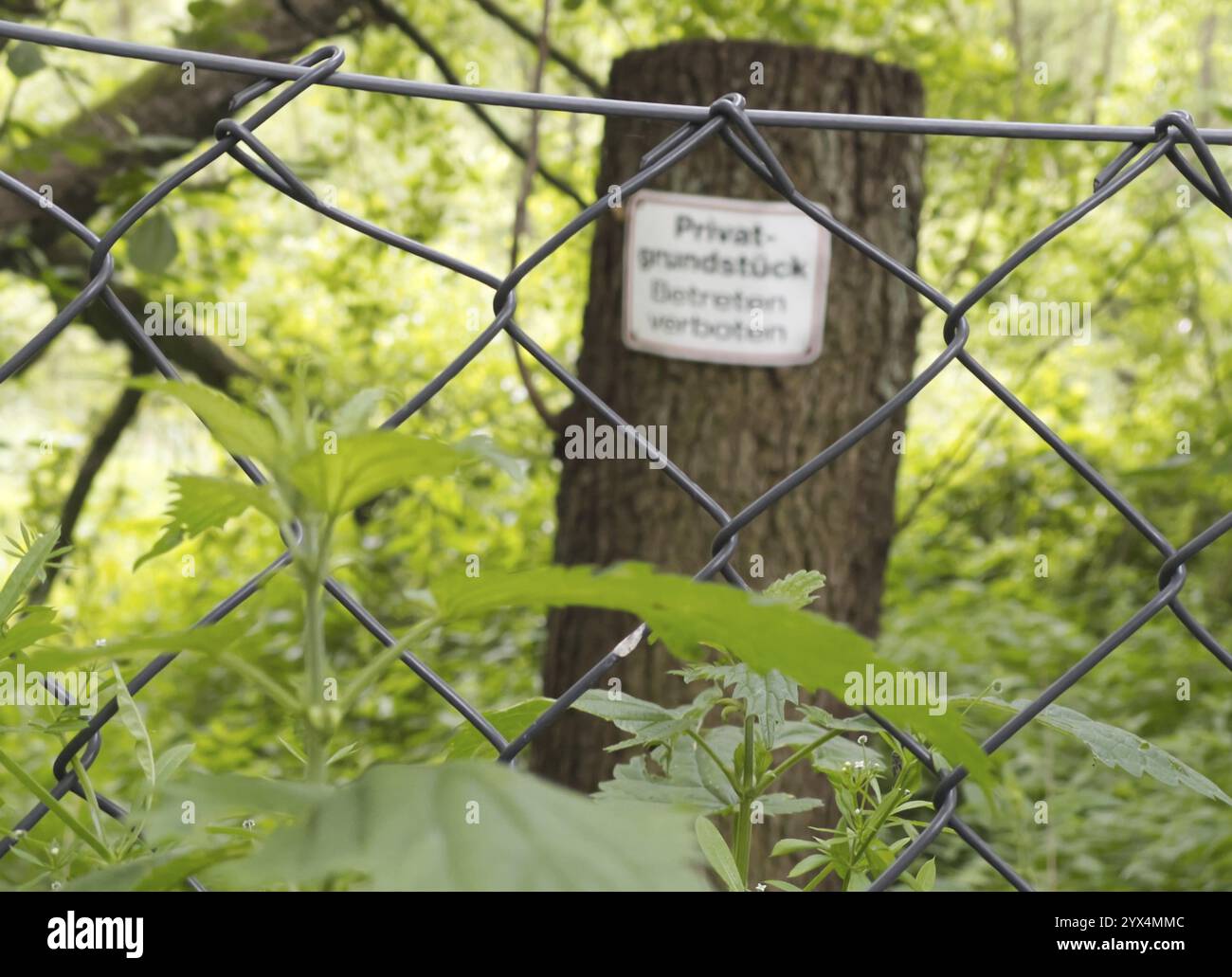 No 10 sign hi-res stock photography and images - Alamy