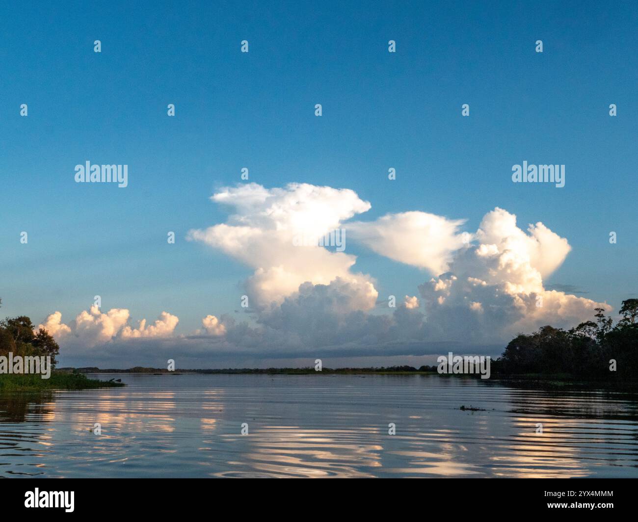 Amazon river landscape near the town of Tefè. Tefé is a small town west ...
