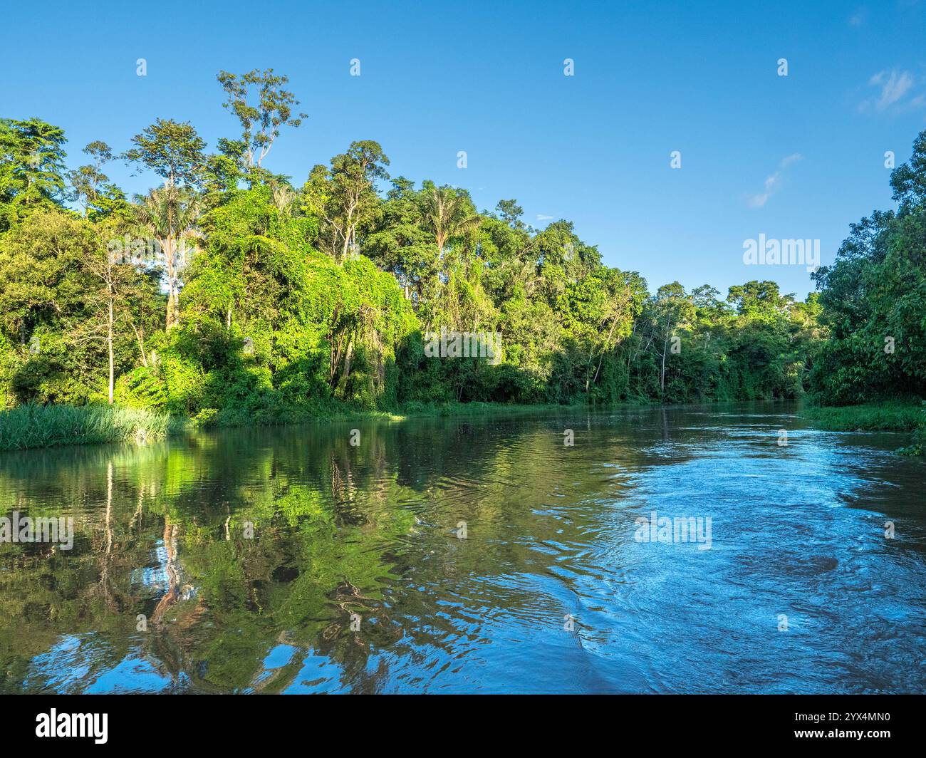 Amazon river landscape near the town of Tefè. Tefé is a small town west ...