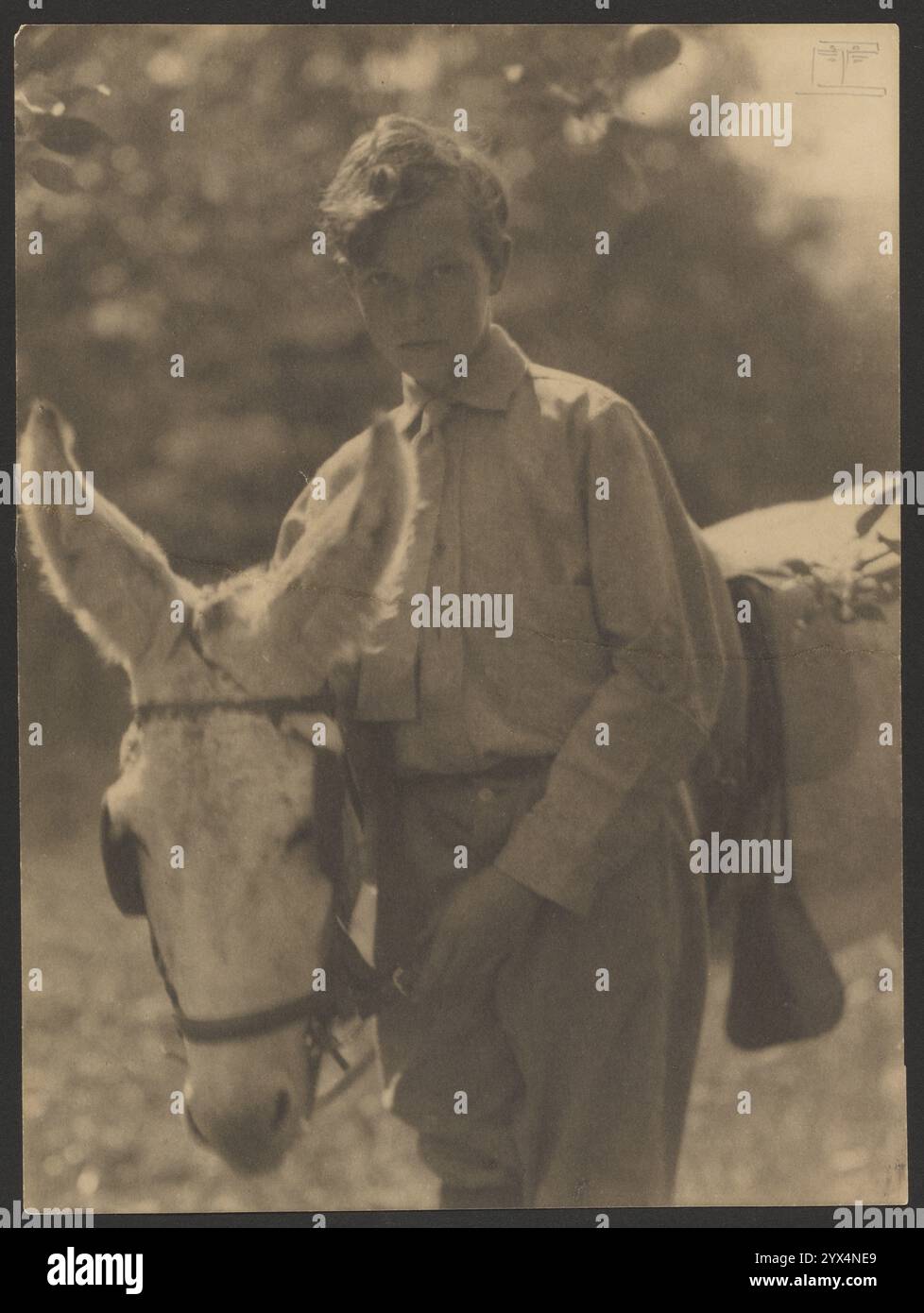 Ben and Bijan, 1904-1921. Portrait of a boy standing beside a white ...