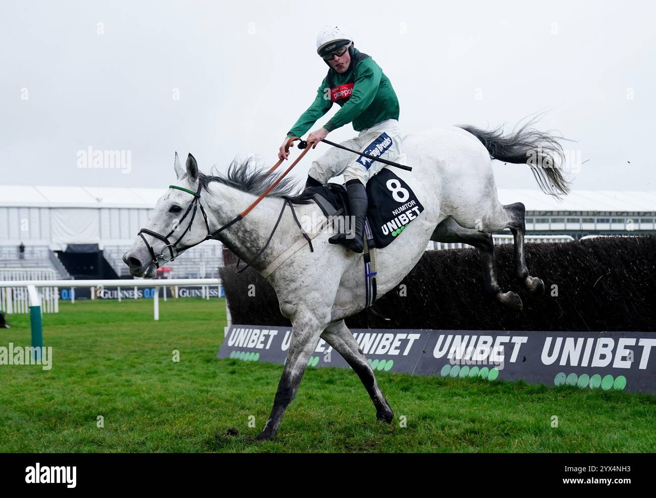 Numitor horse hi-res stock photography and images - Alamy