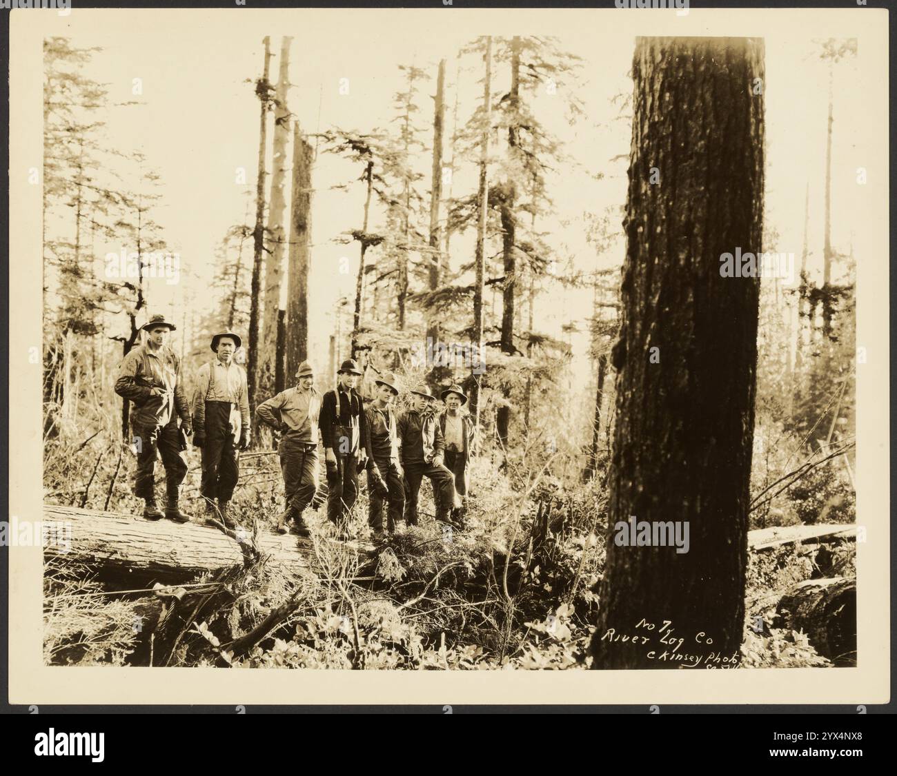 Loggers, about 1910-1930. Informal group portrait of seven loggers ...