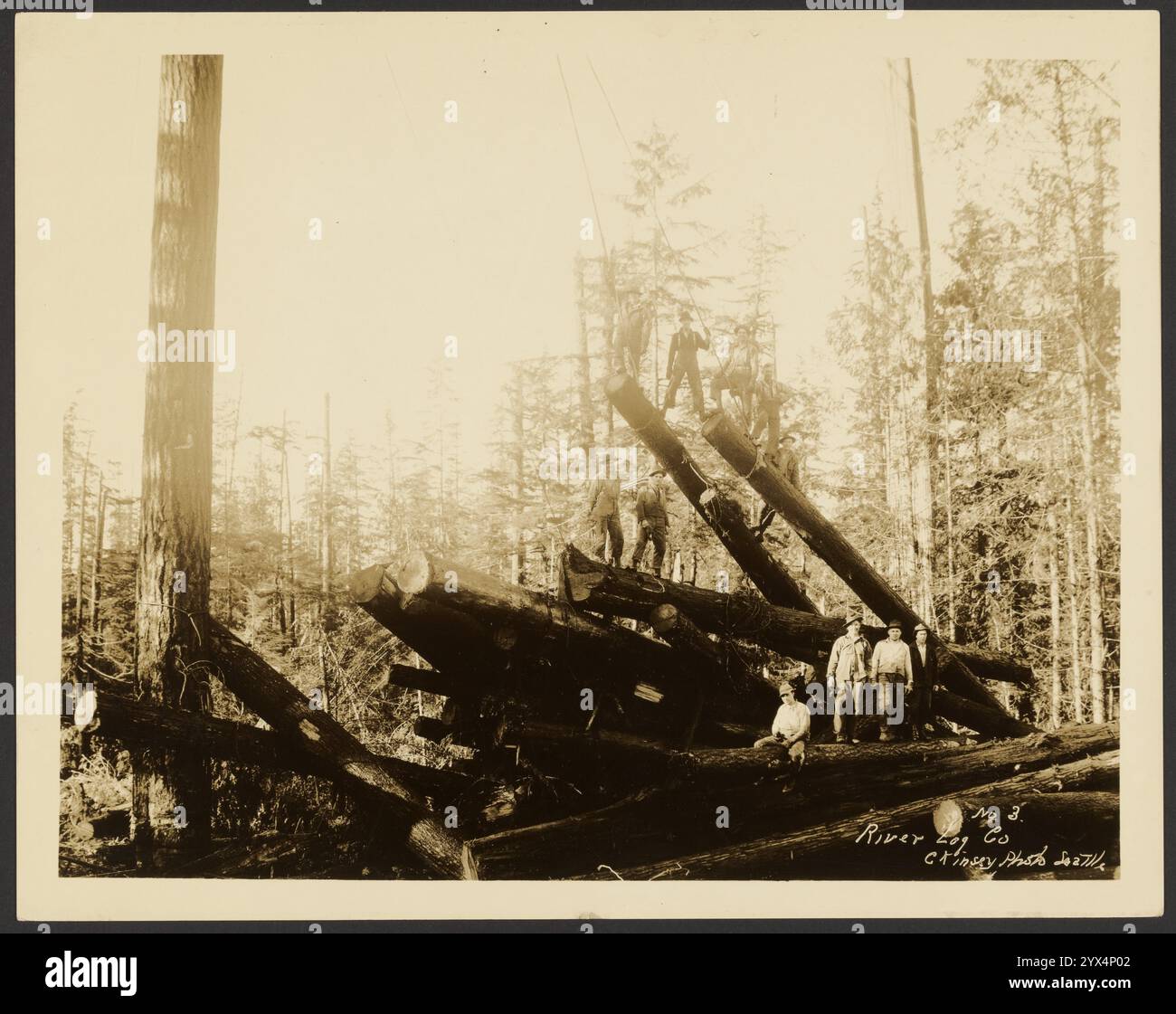 Loggers, about 1910-1930. Informal group portrait of eleven loggers ...