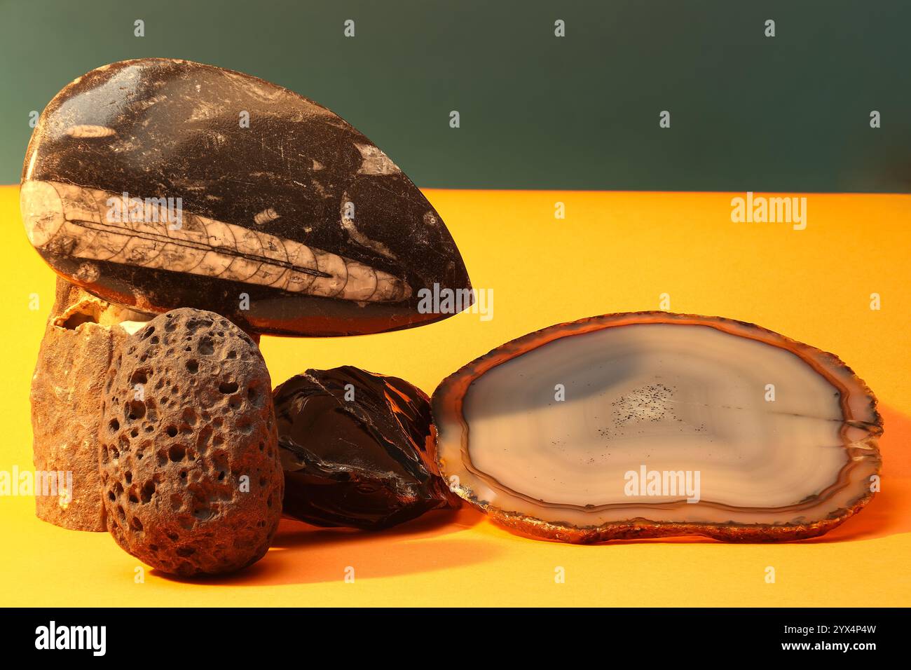 Still life with Agate slice, mineral stones, raw obsidian, and fossils ...