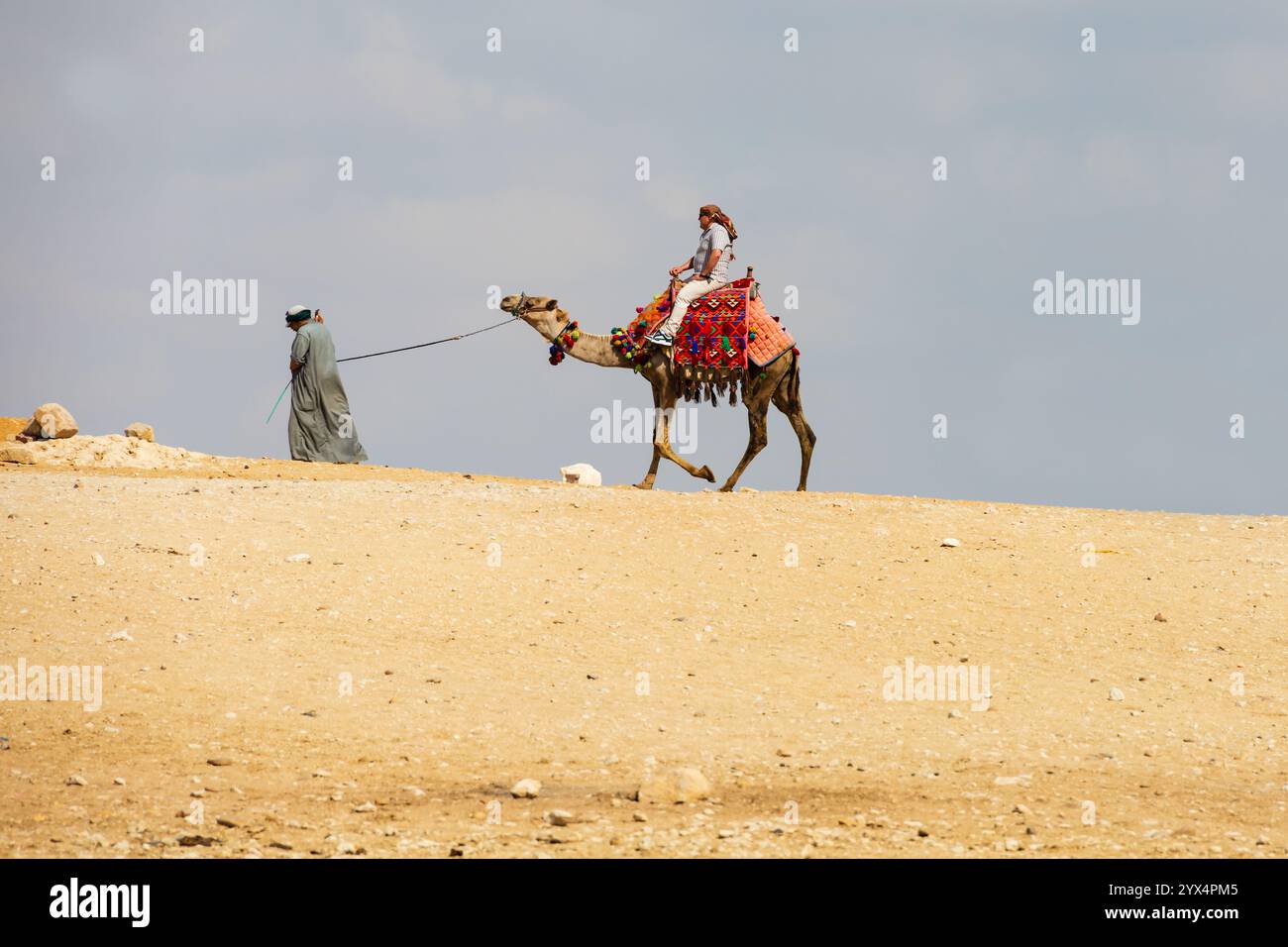 Tourist going for a ride on a camel with herder on the Sahara sand ...
