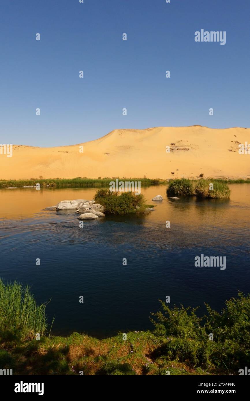 The sand of the Sahara desert reflected in the water where it meets the ...