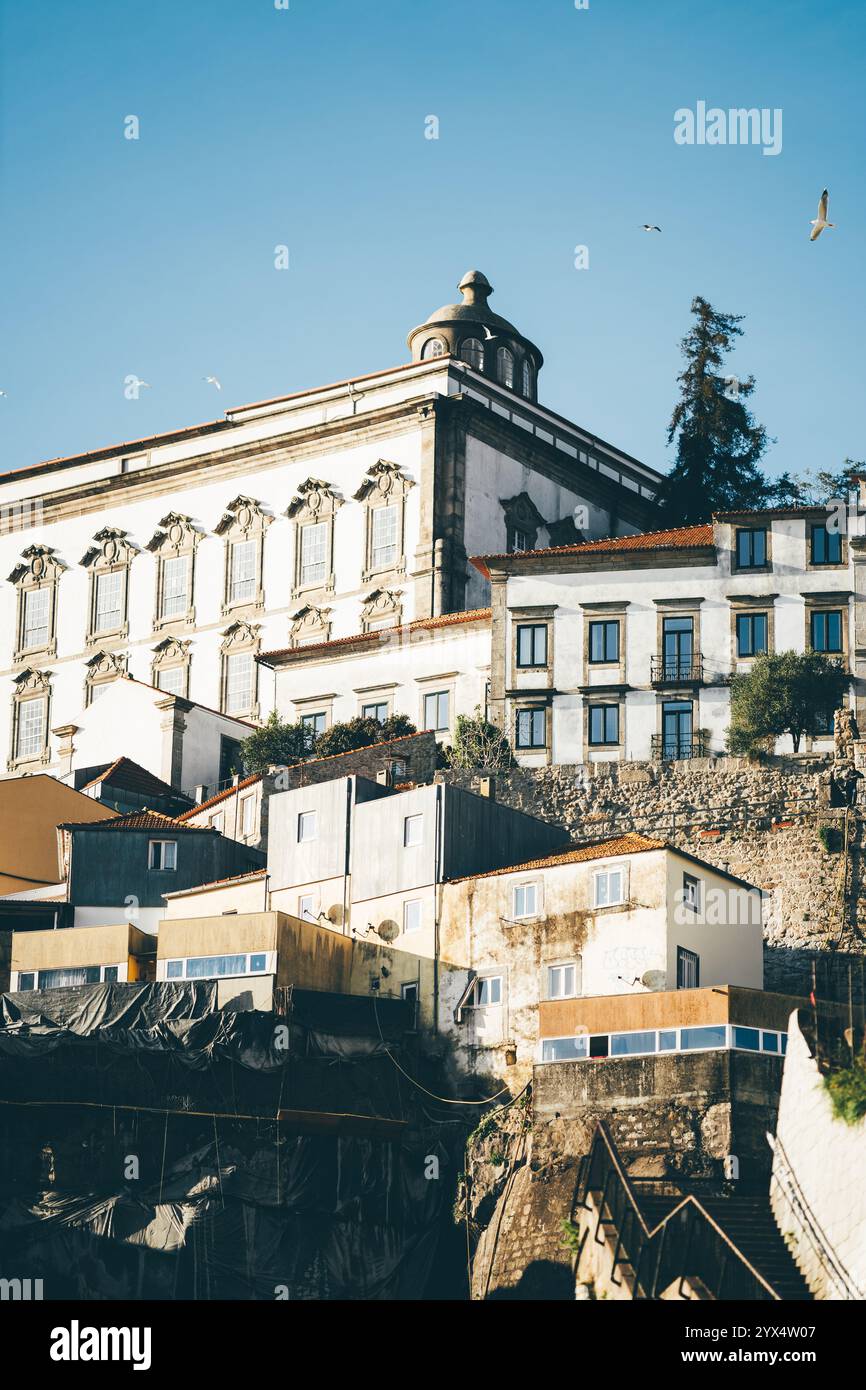 A vertical telephoto scenic view of historic architecture in Porto ...