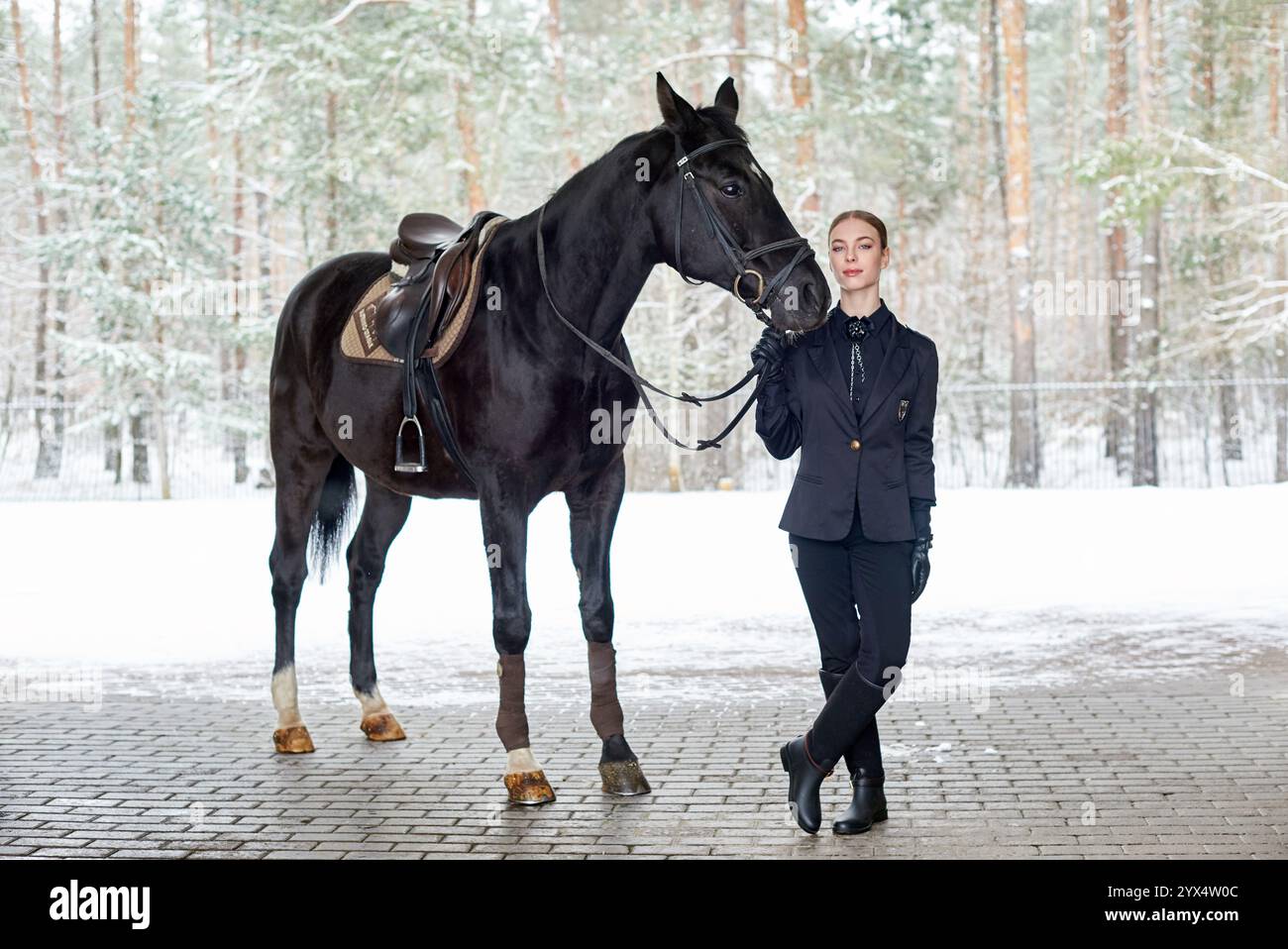 Full-body portrait of an elegant equestrian woman with a black horse in ...