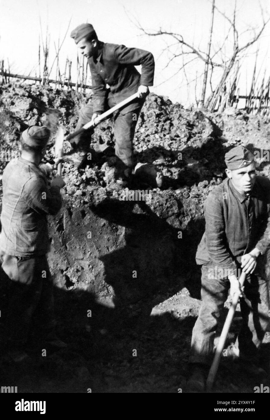 Russia 1943 German soldiers doing earthworks for bunker construction ...
