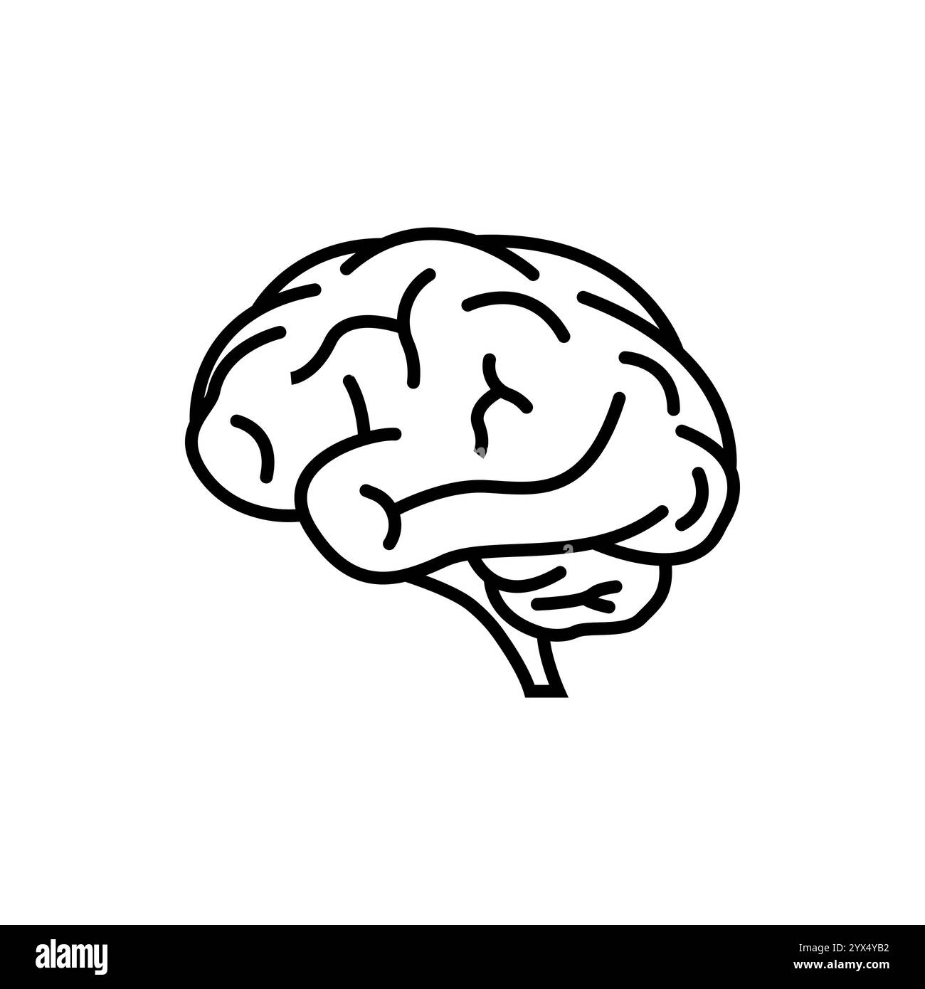 Human brain vector icon illustration isolated on white background Stock Vector Image & Art - Alamy