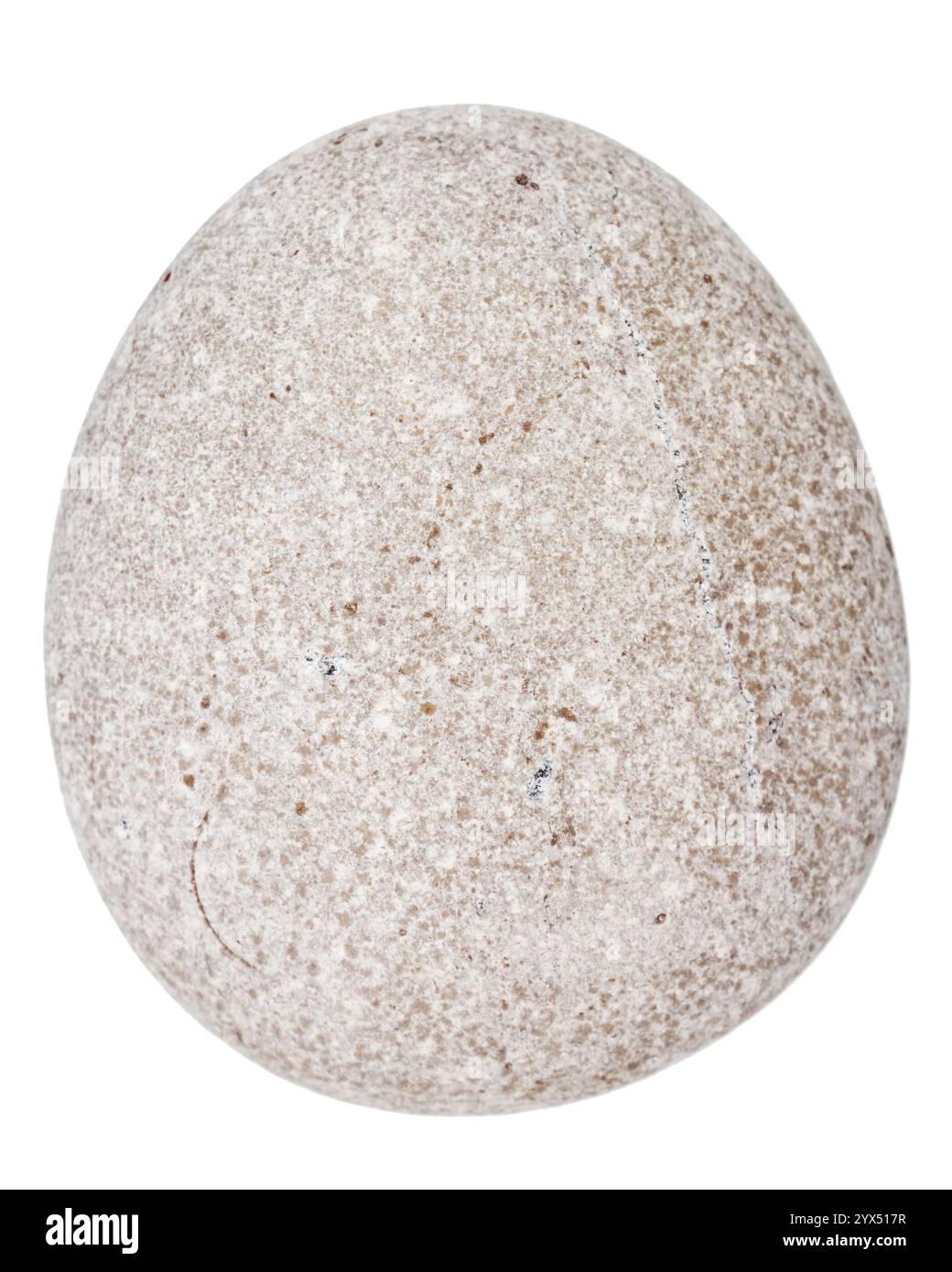 Top view of single gray pebble isolated on white background Stock Photo ...