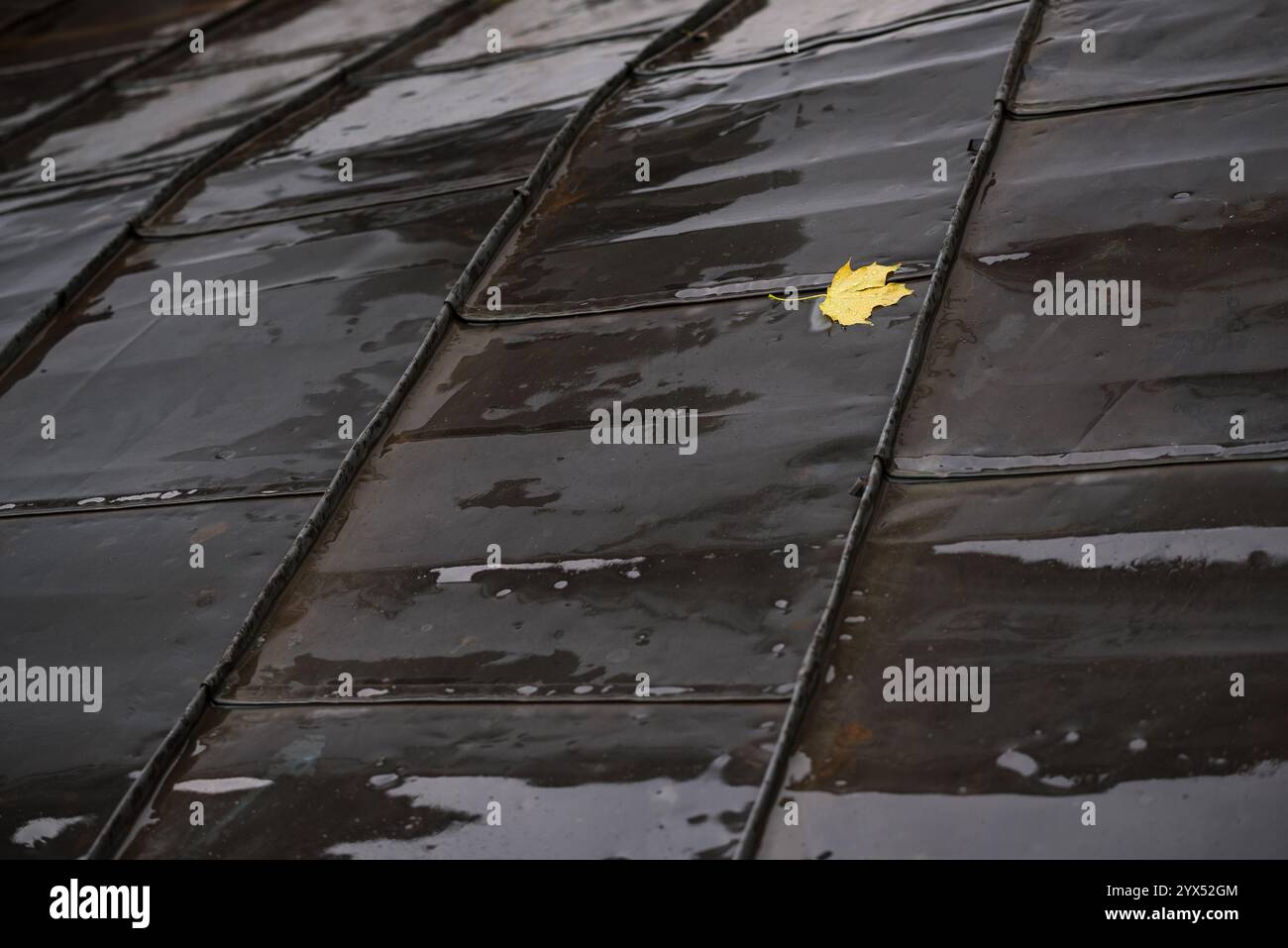 Yellow leaves on roof hi-res stock photography and images - Alamy