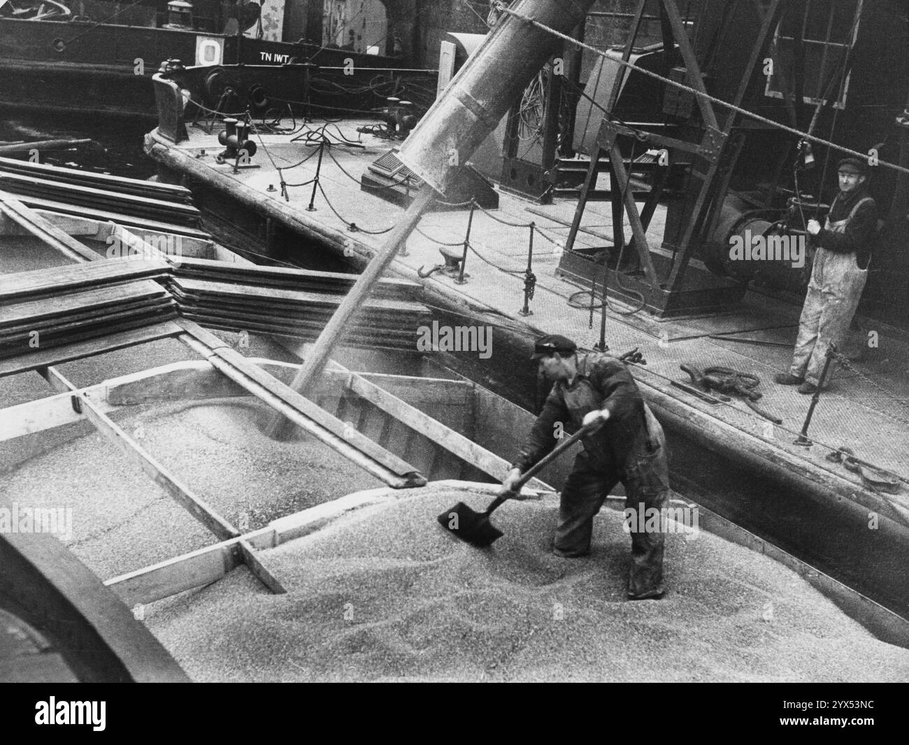 1949 Hamburg port unloading grain, barges take over onward ...