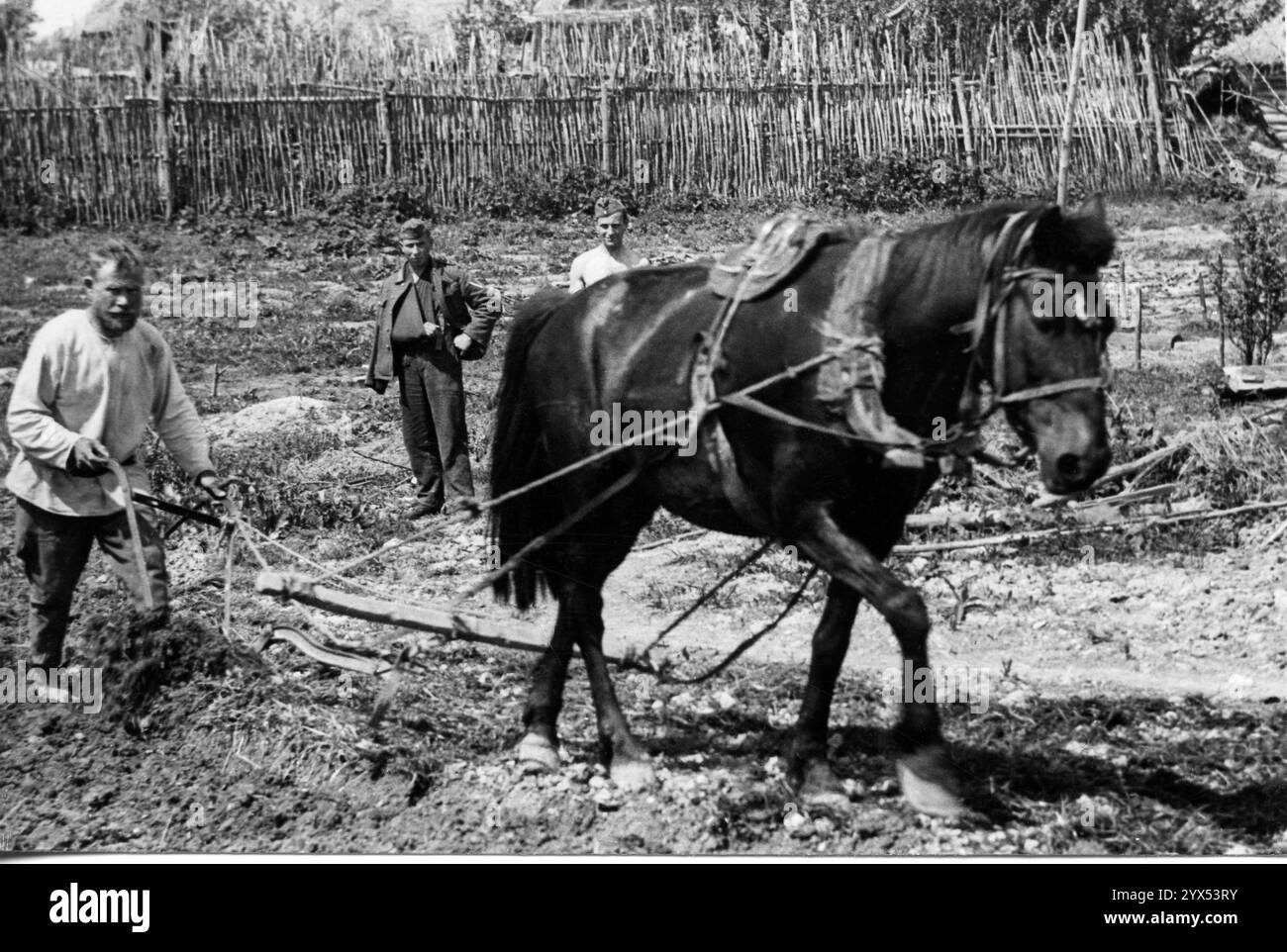 Russia 1942 in Makarowa: Farmer plowing, German soldiers watch him ...