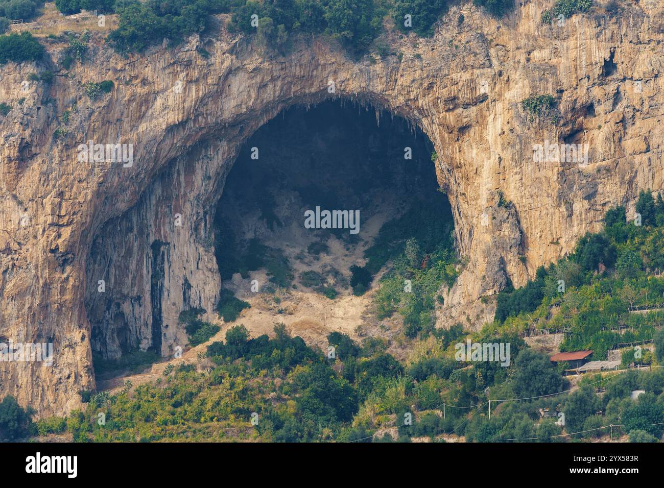 A huge rock cave with an arched ceiling, surrounded by plants, seen ...
