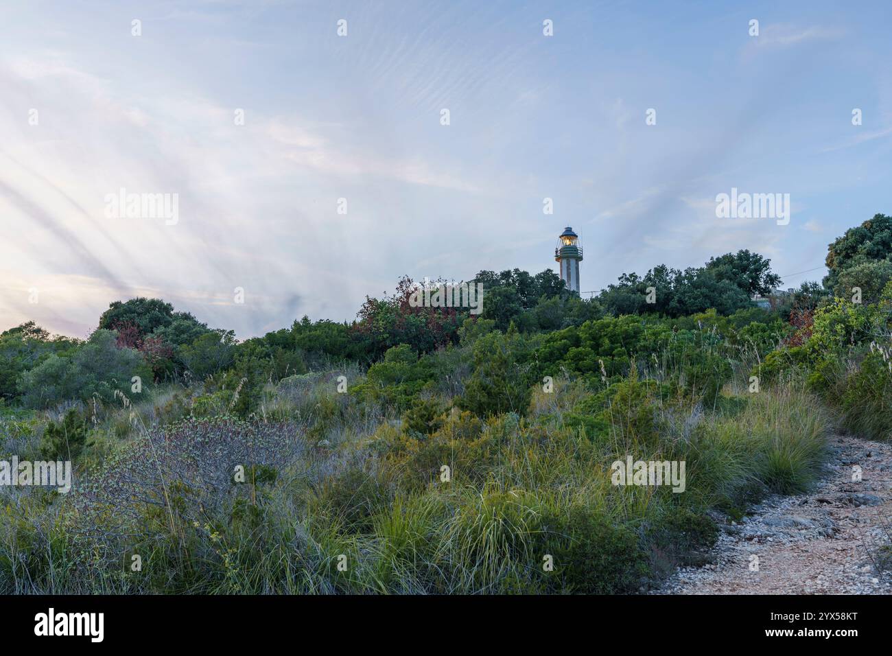 A beautiful lighthouse towering over a hillside densely overgrown with ...
