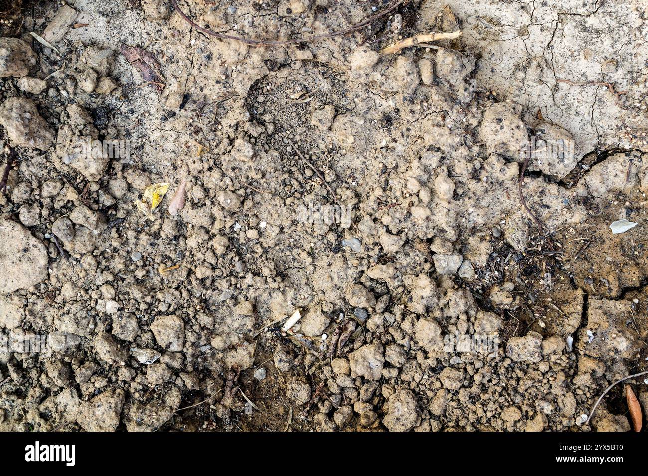 Close-Up of Soil Texture Background Showing Natural Patterns, Earthy ...