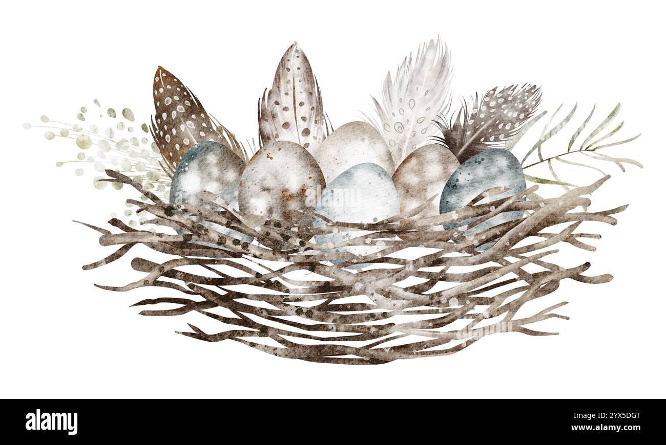Watercolor illustration of a bird nest with eggs Stock Photo - Alamy