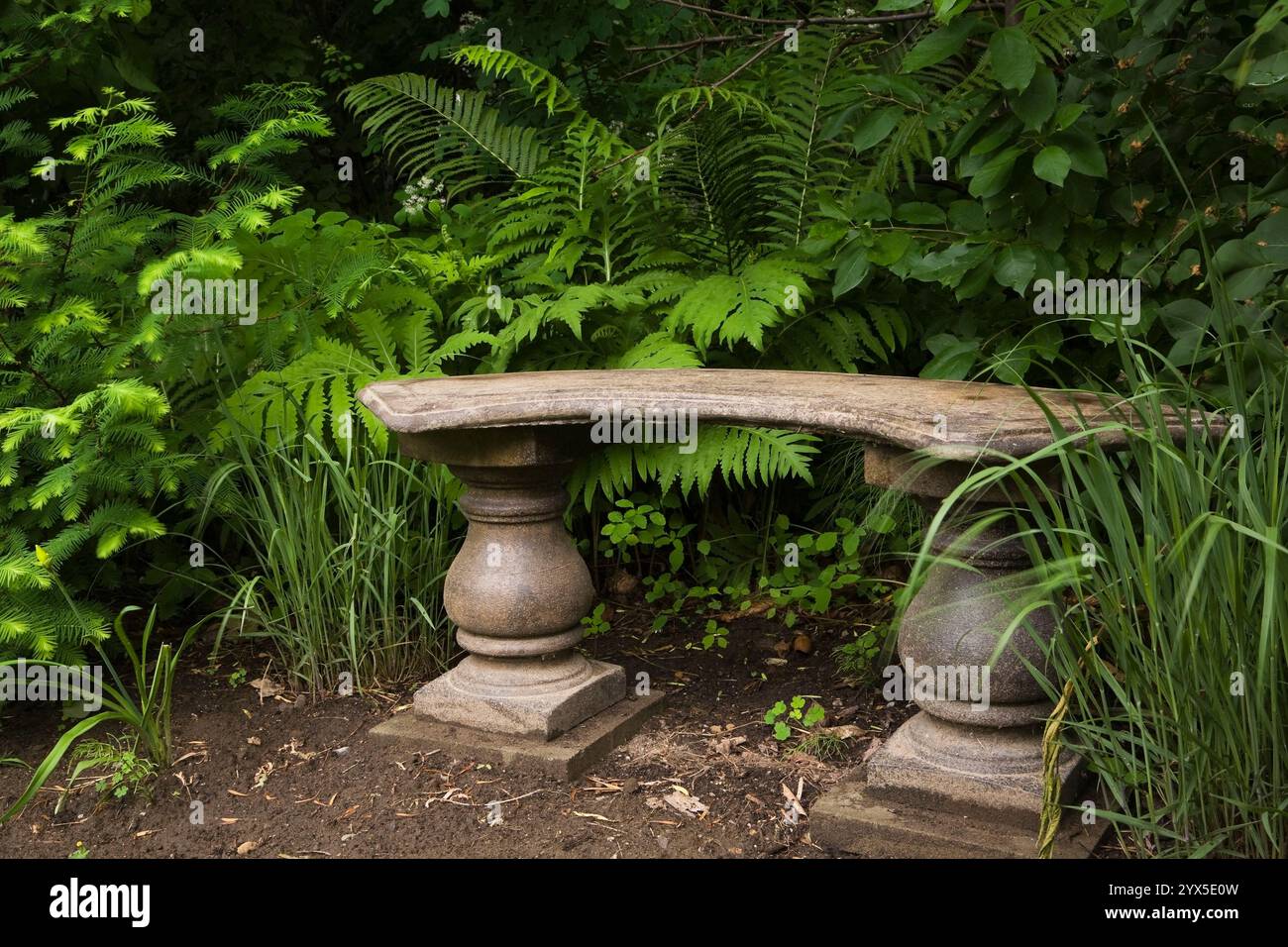 Concrete Roman style sitting bench against a backdrop of perennial and ...