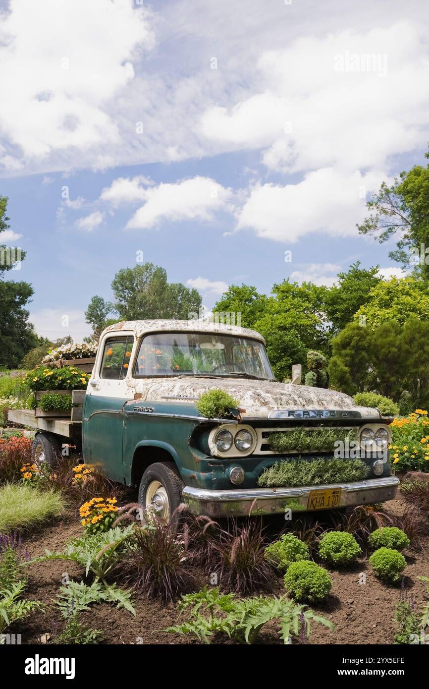 Green and white 1956 Fargo pick-up truck in summer called 'Farmers: the ...