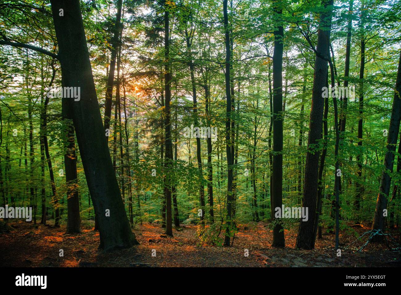 Humberg tower hi-res stock photography and images - Alamy