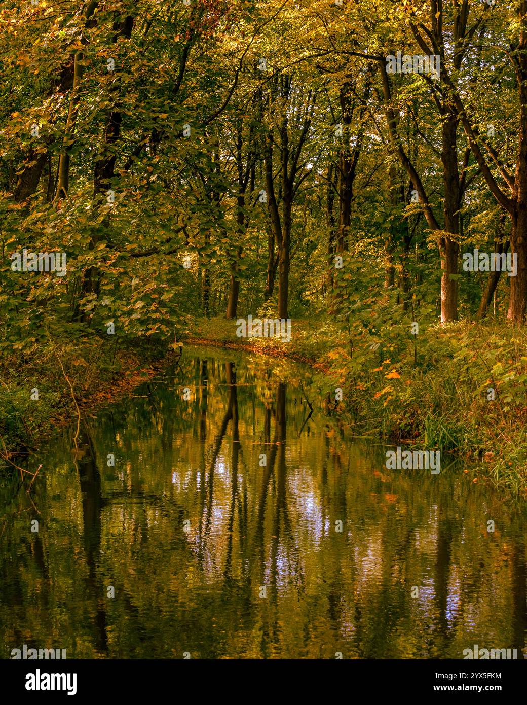 autumn in the park with reflection Stock Photo - Alamy