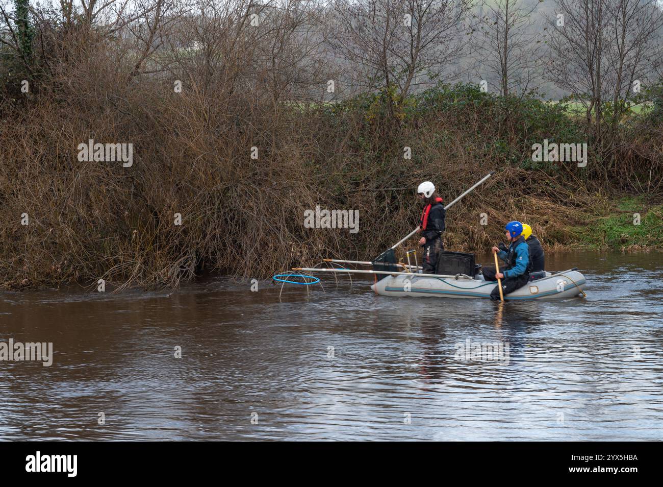 Electrofish hi-res stock photography and images - Alamy