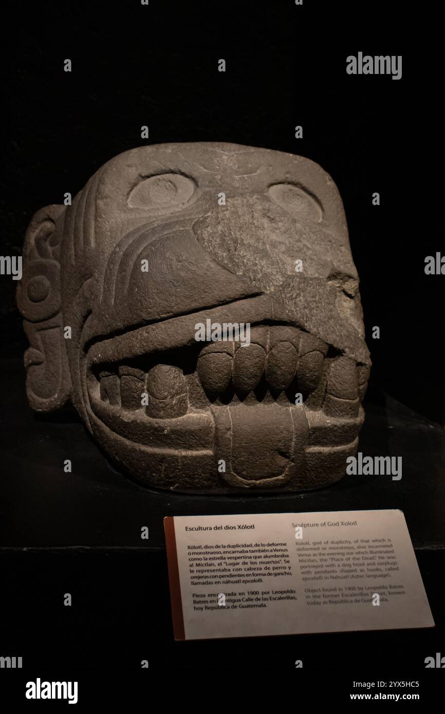 Mexico City, Mexico November 12, 2024: Stone representation of the Dog ...