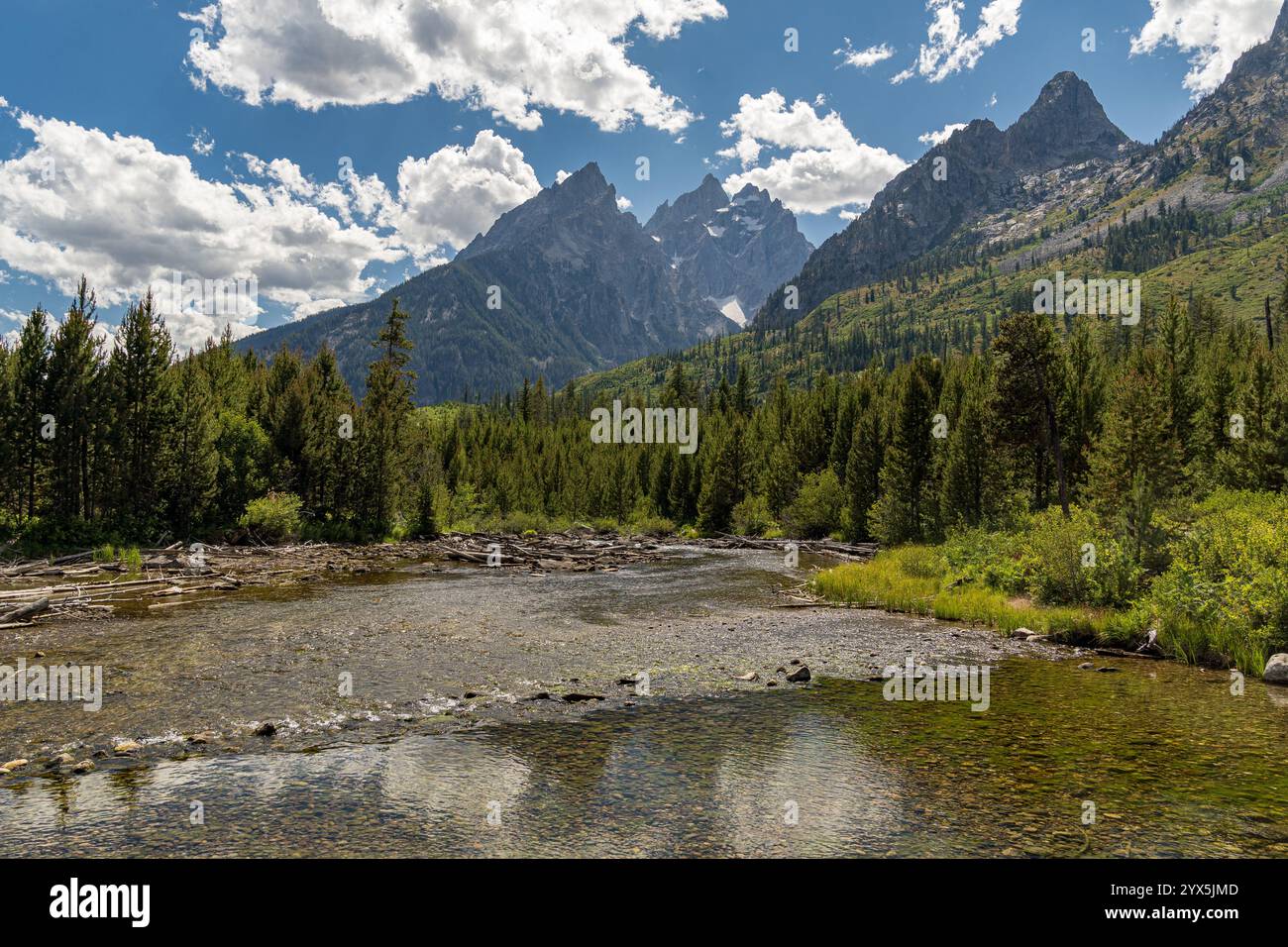 Teton mountains seen from the banks of String Lake, in the Grand Teton ...