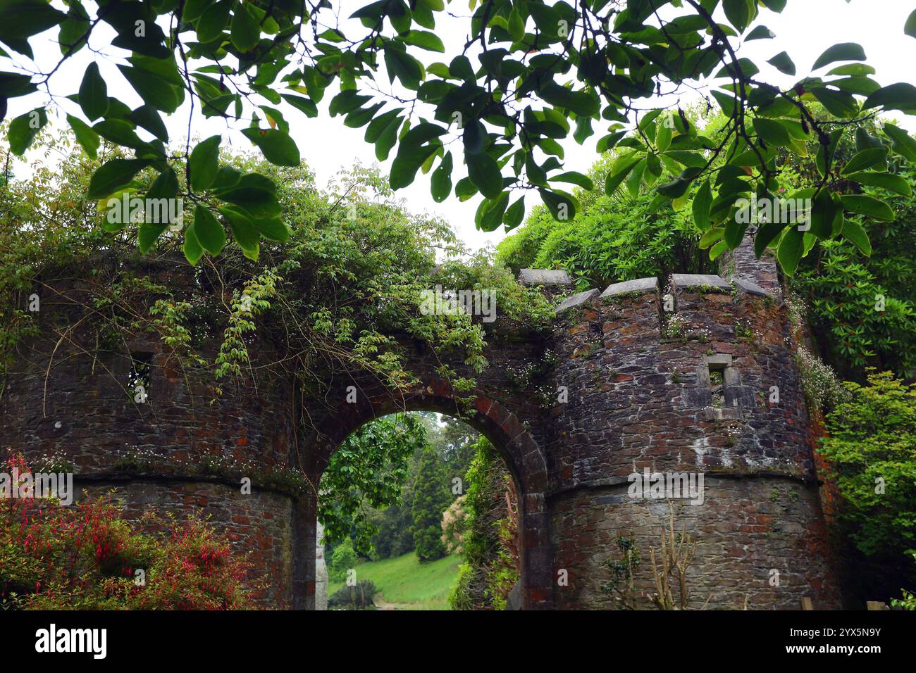 GREAT BRITAIN /Cornwall/Caerhays/Caerhays Castle Stock Photo - Alamy