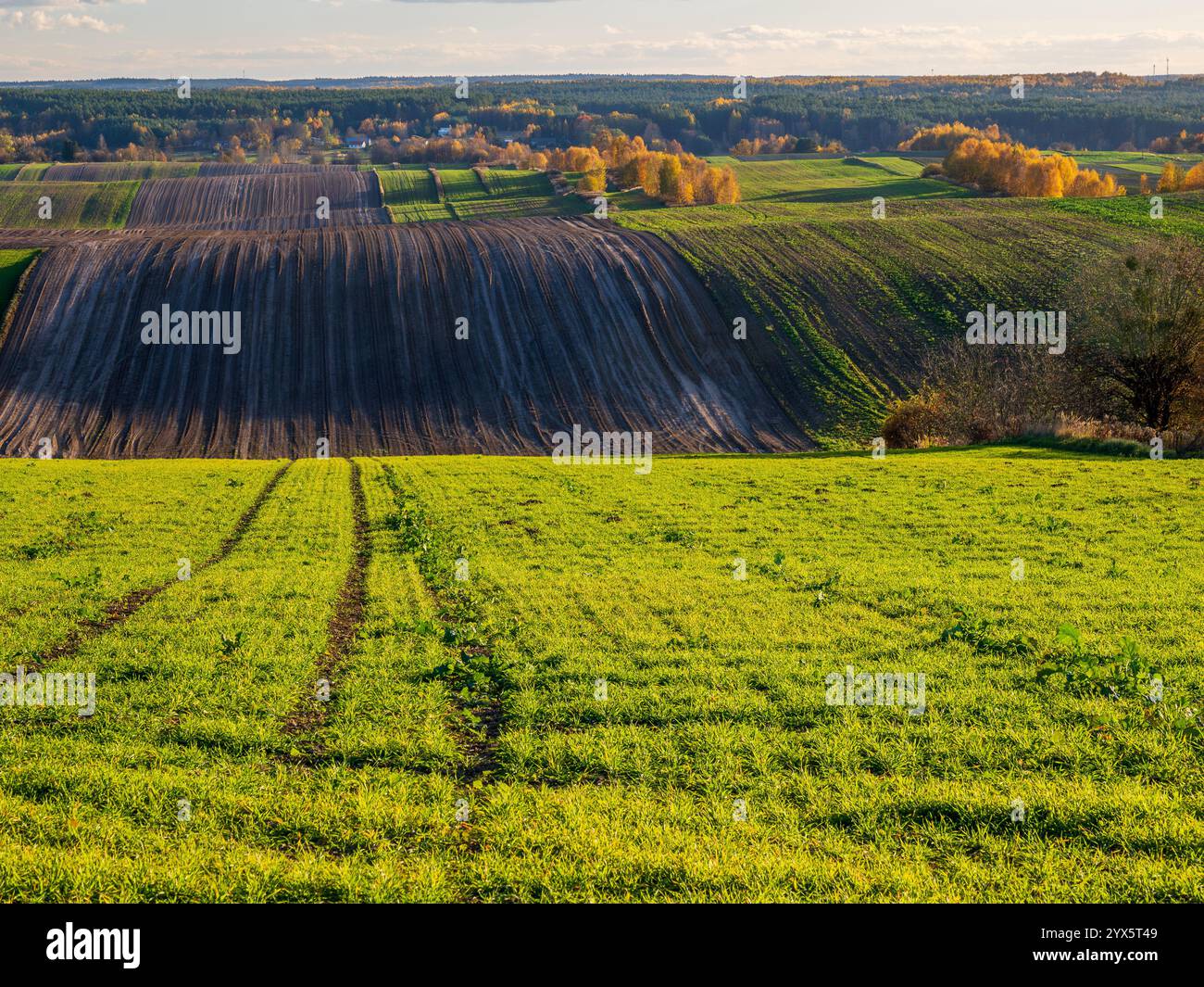 An autumn agricultural landscape.. Here is an image depicting an autumn ...