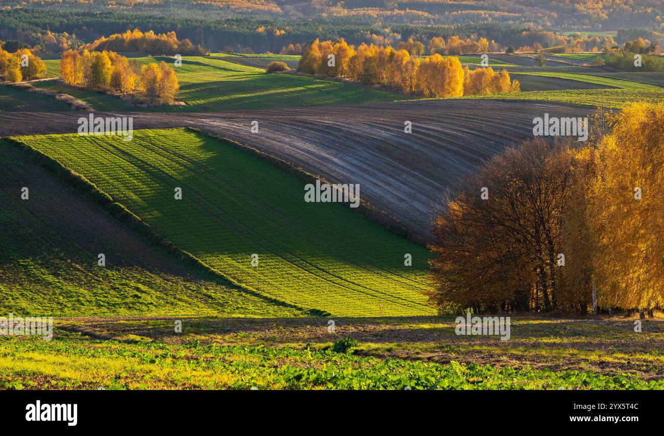 An autumn agricultural landscape.. Here is an image depicting an autumn ...