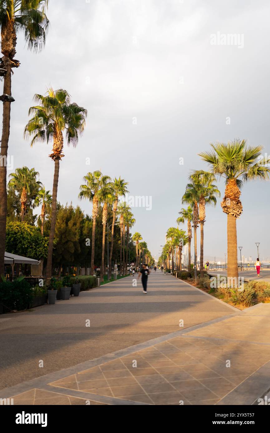 Seaside promenade with palms in Limassol Stock Photo - Alamy