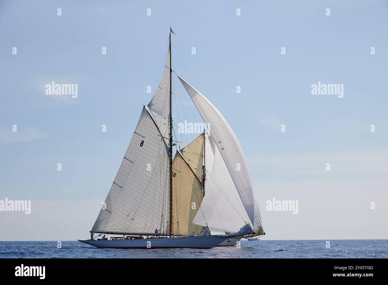 graceful,classic sailing yachts navigating across serene blue ocean ...