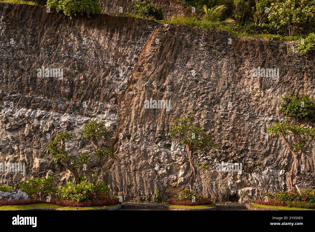 The background is a cut of a stone mountain with growths. The texture ...