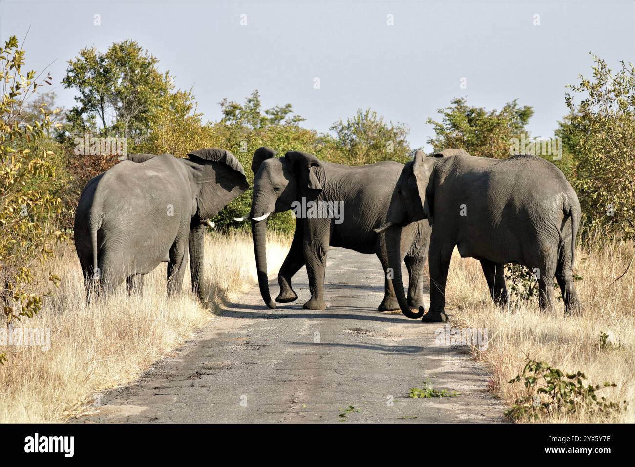 Catchup hi-res stock photography and images - Alamy