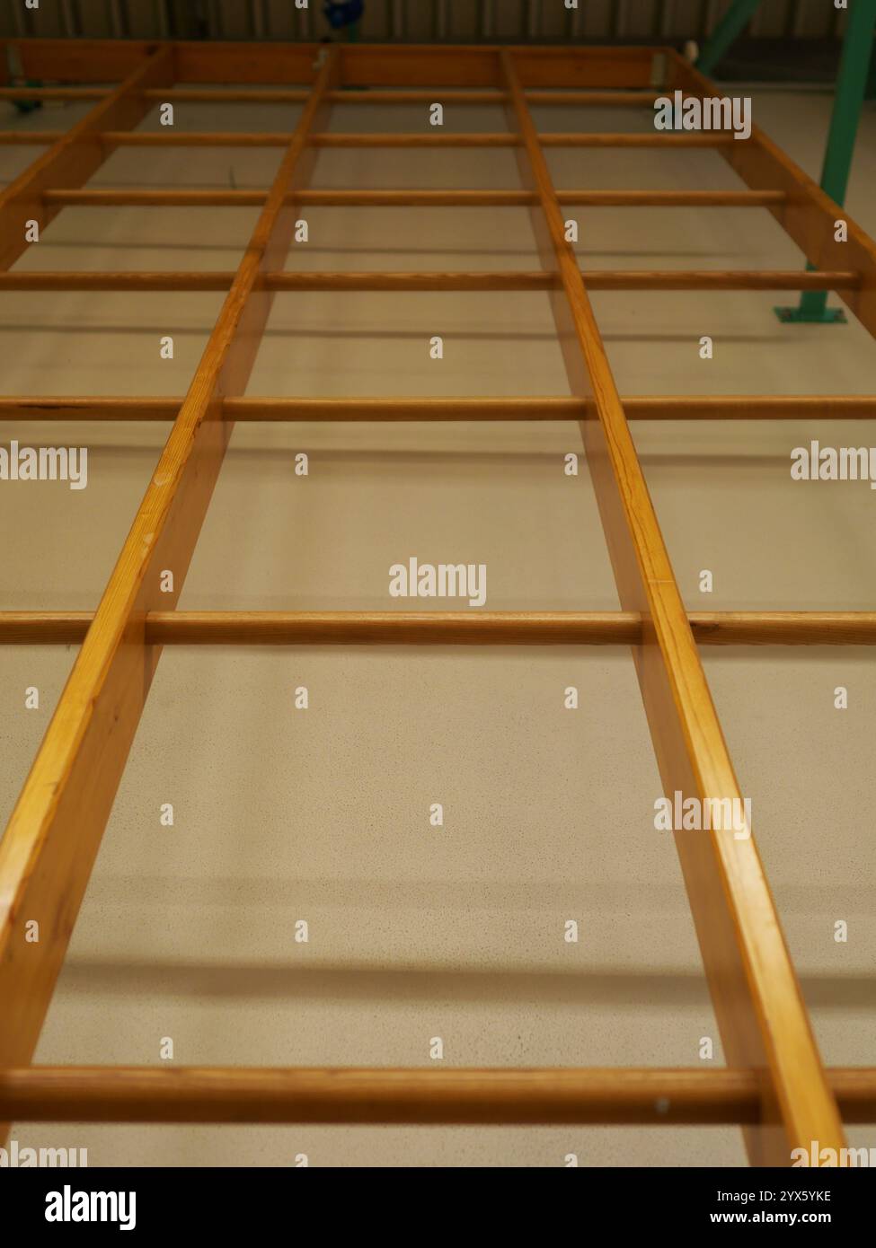 The grid ladder secured to the sports hall wall is a piece of sports ...