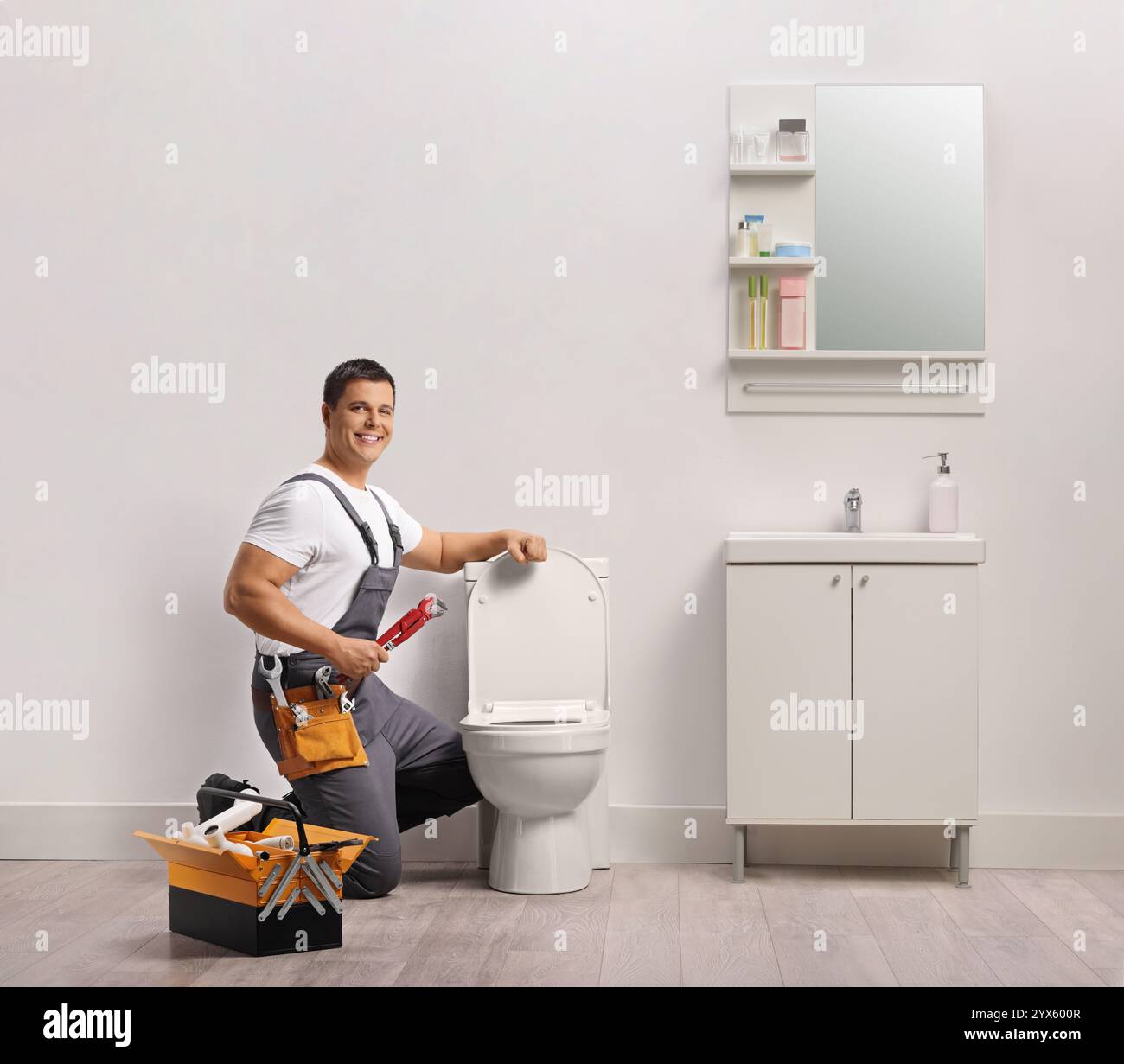 Plumber fixing a toilet seat in a bathroom and smiling Stock Photo - Alamy