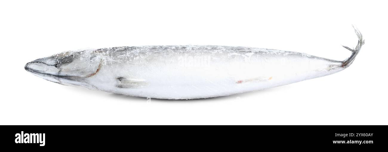 One frozen mackerel fish isolated on white Stock Photo - Alamy