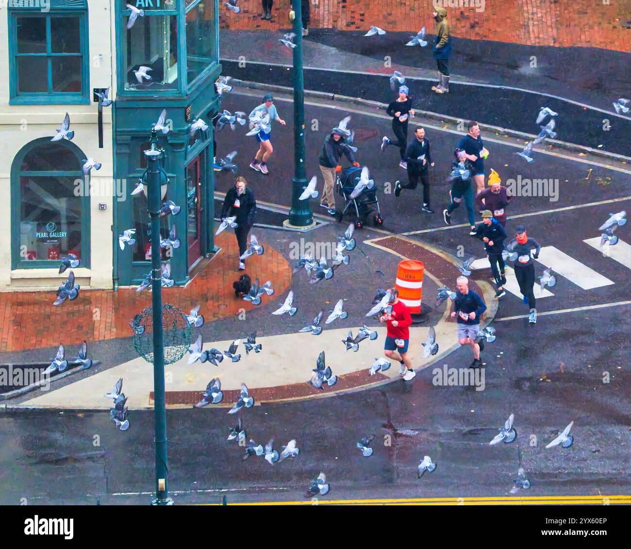 November 28, 2024 Portland, Maine, USA Pigeons flying over Portland ...