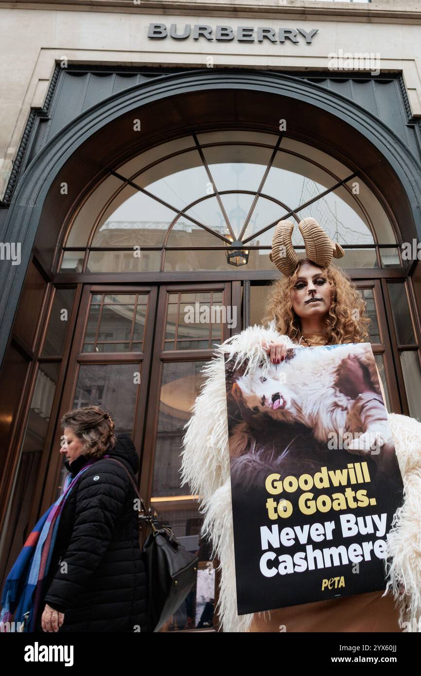 London, UK. 12th December, 2024. A supporter of PETA dressed as a goat ...